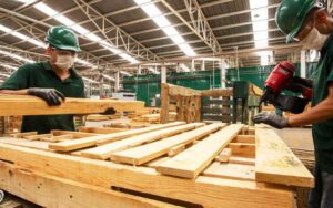 Reparación de tarimas de madera - Nacional de Tarimas S. A. de C. V.